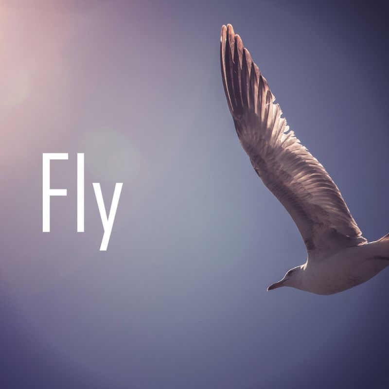 Gomin - Fly [digital single] (2020) :: maniadb.com