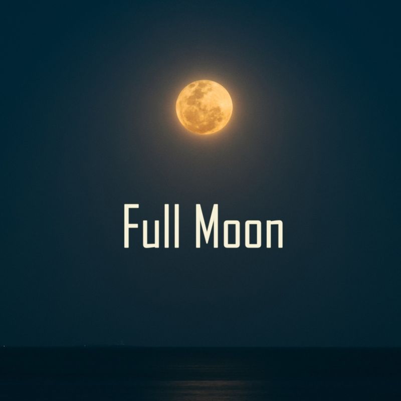 Gomin - Full Moon [digital single] (2020) :: maniadb.com