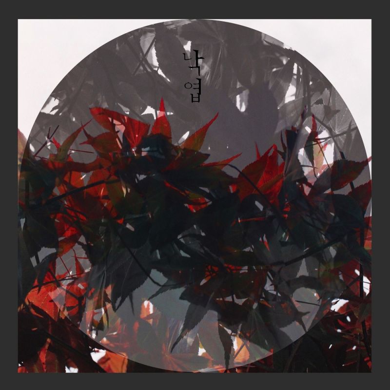 꼼마 - 낙엽 [digital single] (2017) :: maniadb.com