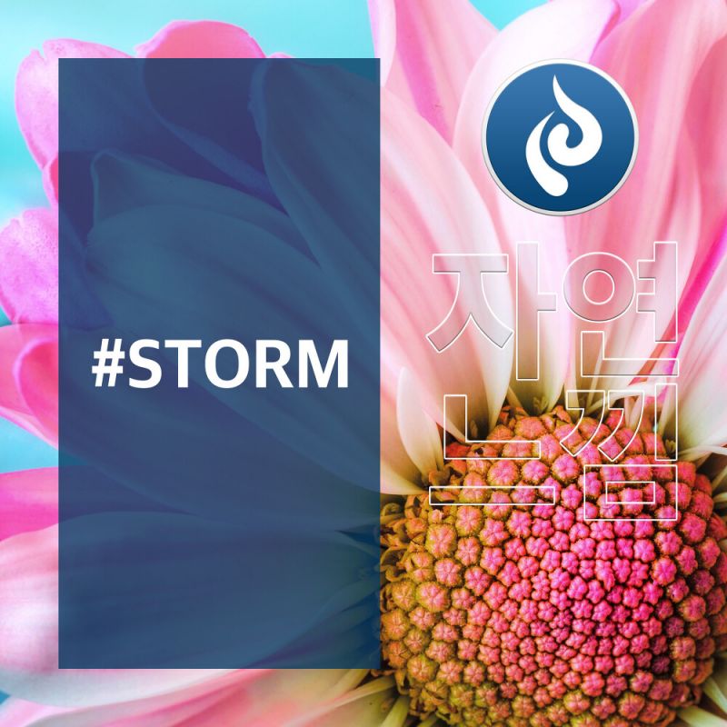  NATURE STORM ep 2021 Maniadb