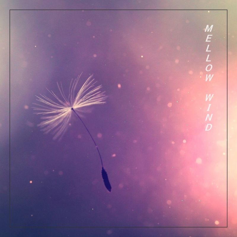 Honey String - Mellow Wind (2021) :: maniadb.com