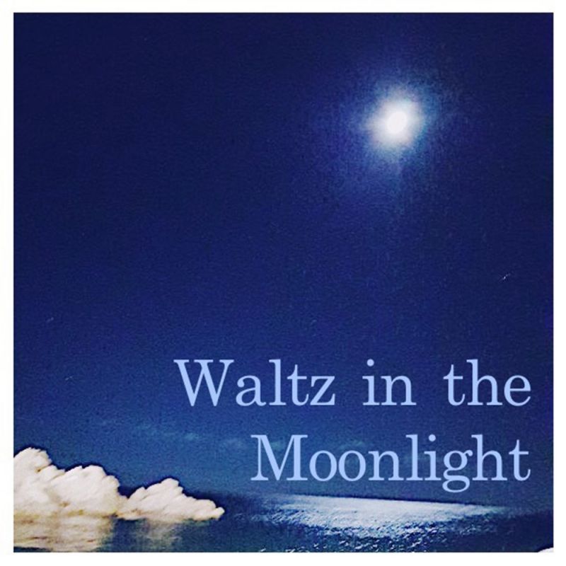 BRIAN SEO - Waltz in the Moonlight [digital single] (2019) :: maniadb.com