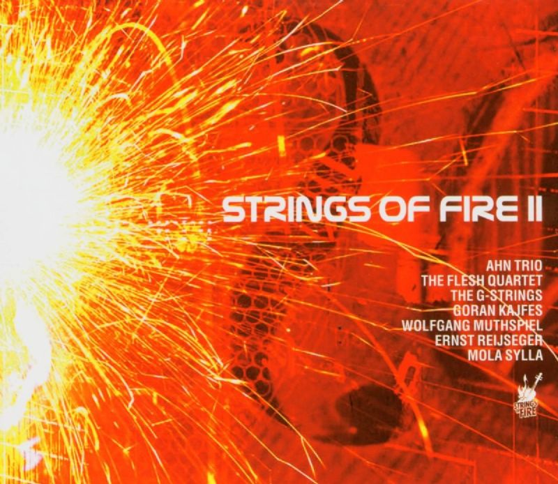 Strings Of Fire - Strings Of Fire 2 (2005) :: maniadb.com