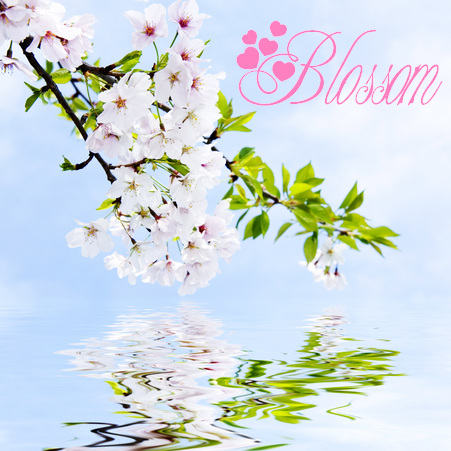 Richard Beddow :: maniadb.com