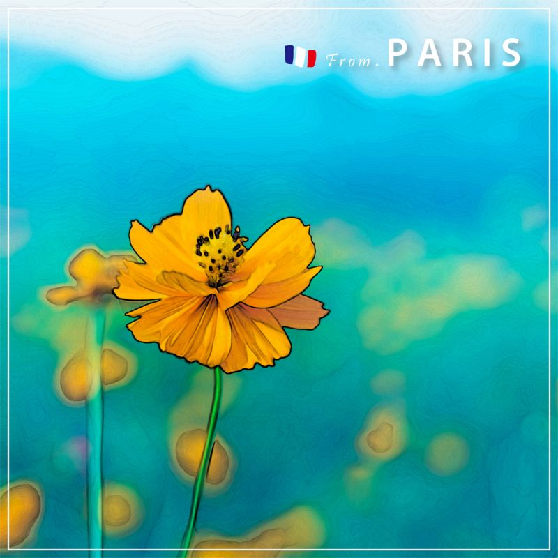 From Paris - 다시 봄이 찾아왔다 [digital single] (2020) :: maniadb.com
