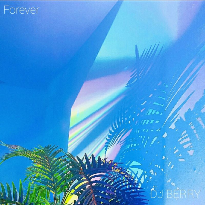 DJ Berry - Forever [digital single] (2020) :: maniadb.com