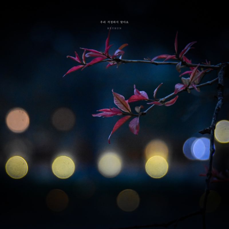 HEY HUN - 우리 걱정하지 말아요 [digital single] (2020) :: maniadb.com