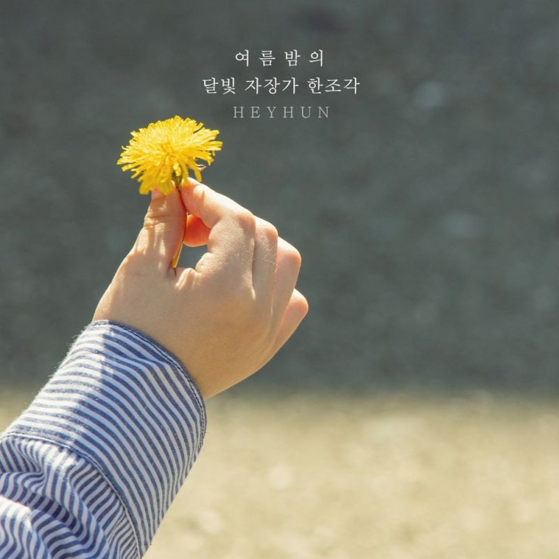 HEY HUN - 여름 밤, 달빛 자장가 한조각 [digital single] (2019) :: maniadb.com