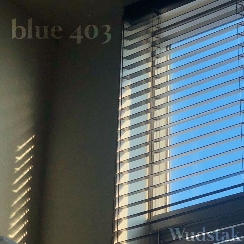 우드스탁 - blue 403 [ep] (2021) :: maniadb.com