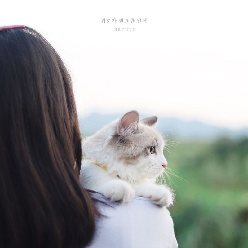 HEY HUN - 위로가 필요한 날에 [digital single] (2021) :: maniadb.com