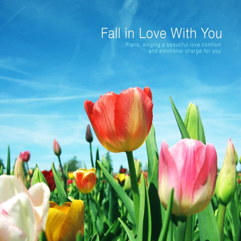 Sky Heart - Fall in Love with You [digital single] (2014) :: maniadb.com