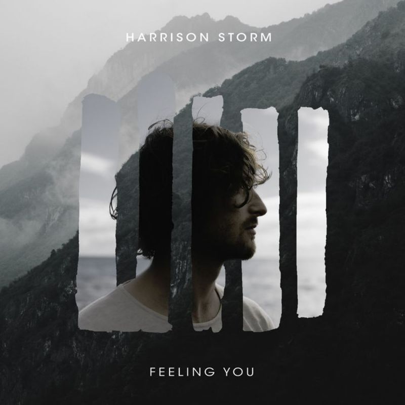 Harrison Storm - Feeling You [digital single] (2018) :: maniadb.com