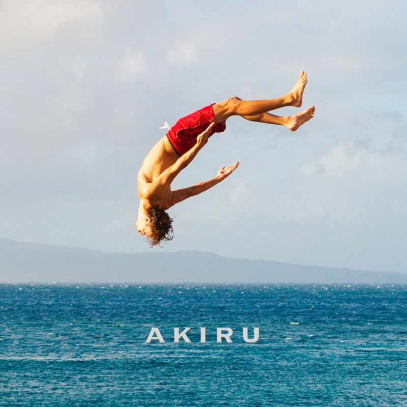 AKIRU - Purple hours [digital single] (2021) :: maniadb.com