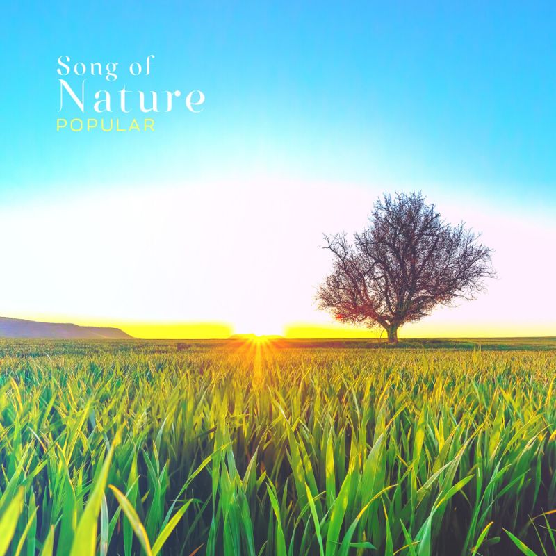 Popular - Song of Nature [digital single] (2021) :: maniadb.com