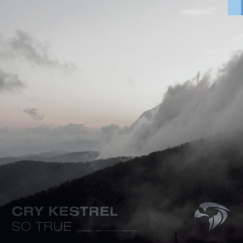 Cry Kestrel - So True [digital single] (2017) :: maniadb.com