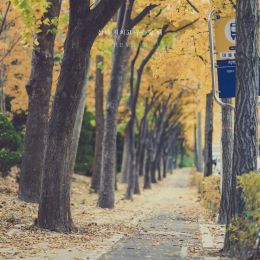 HEY HUN - 삶이 지치고 우울할 때 [digital single] (2020) :: maniadb.com