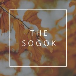 The Sogok :: maniadb.com